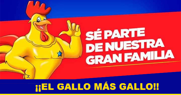 Trabajos en El Gallo Más Gallo - Noviembre 2025 - Trabajos en Guatemala ...