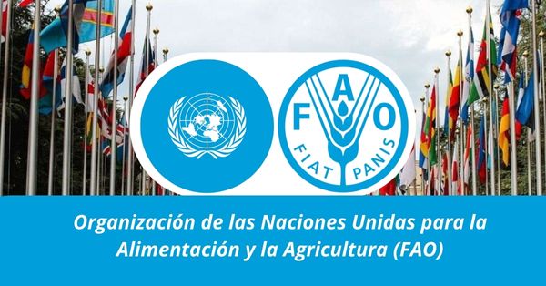 Trabajos en Organización de las Naciones Unidas para la Alimentación y ...