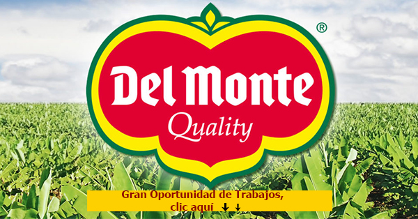 Trabajos en PRODUCTOS DEL MONTE | Enero 2024 | Trabajos en Guatemala ...